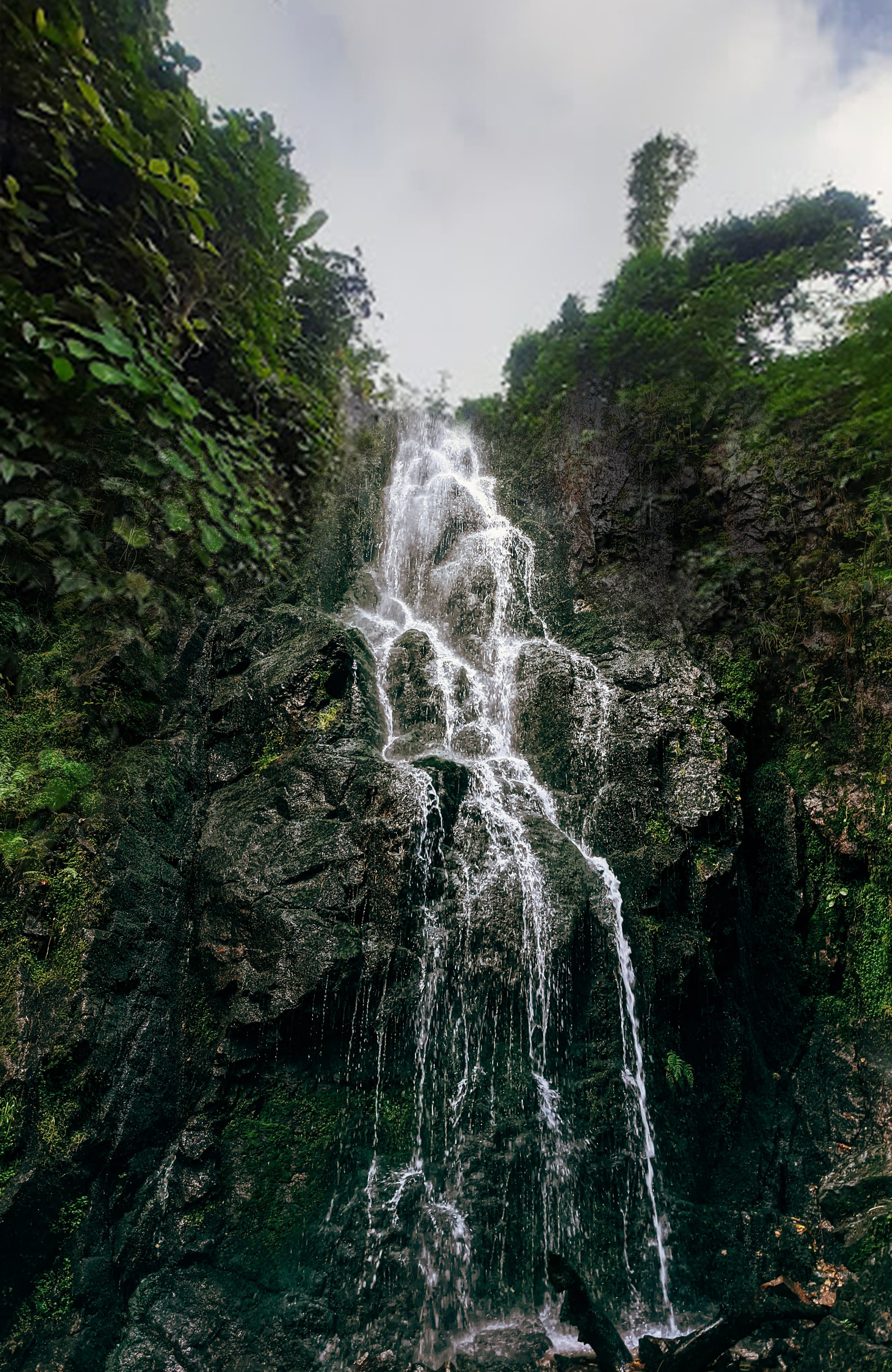 The Beautiful Waterfall Near Kaziranga